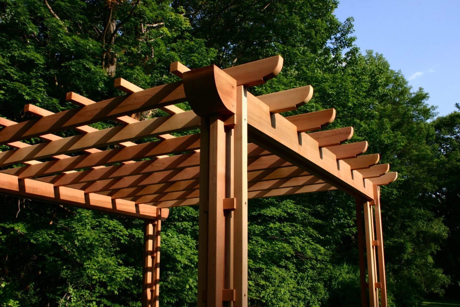 Trellised Modular Pergola | Trellis Structures